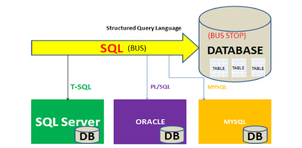 SQL Server T-SQL Quiz-I - Quiz & Trivia